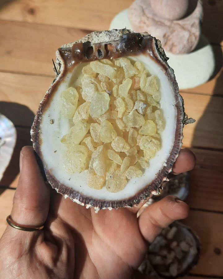 Orgonite, Smudging & Meditation tools in Lebanon - Sacred