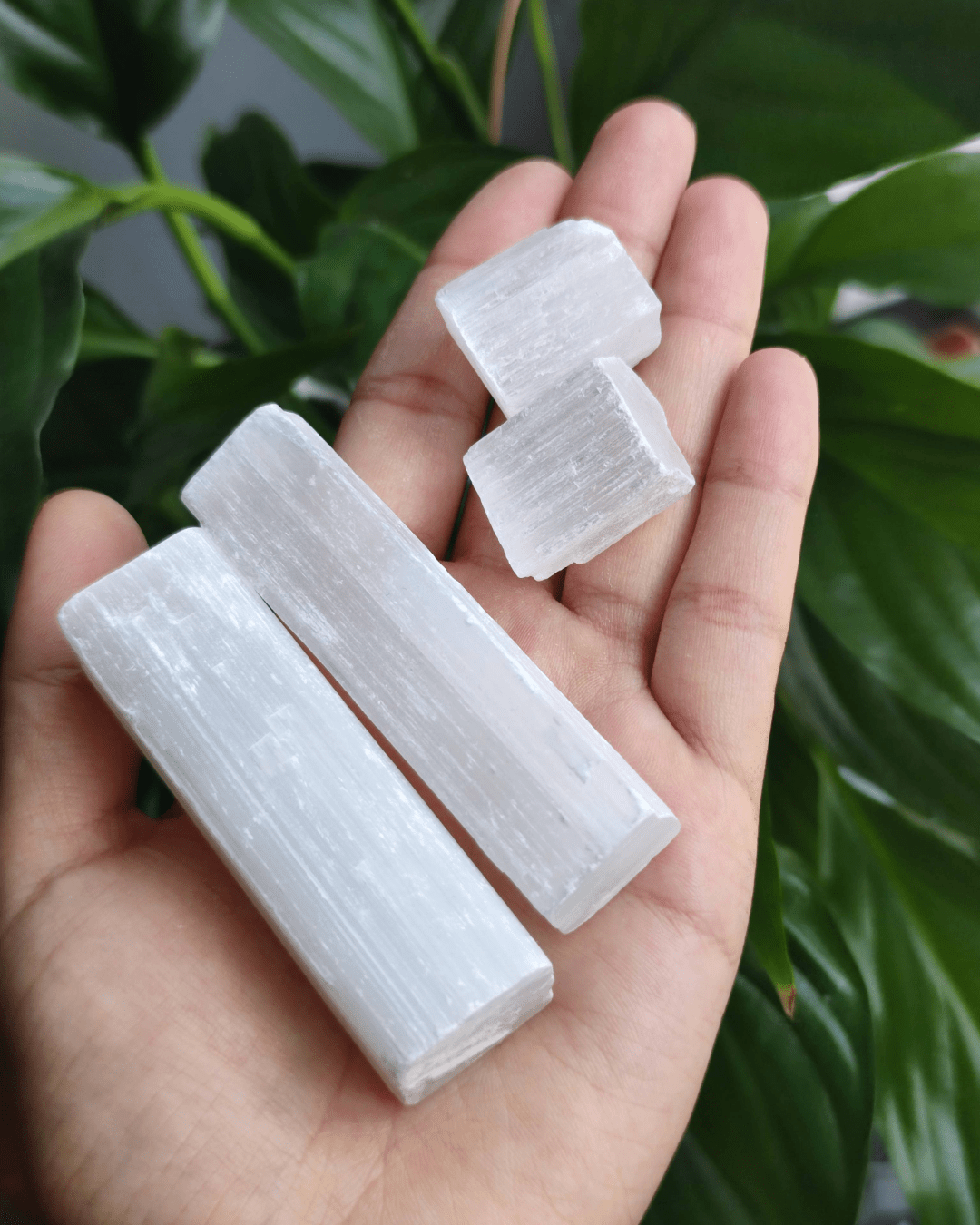 Selenite Crystal in Lebanon - Sacred